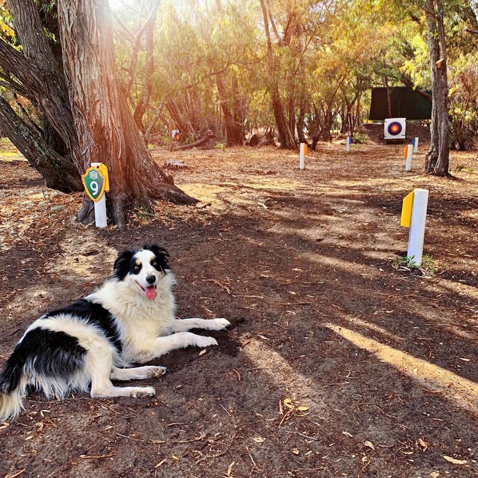 Prices - Primal Archery